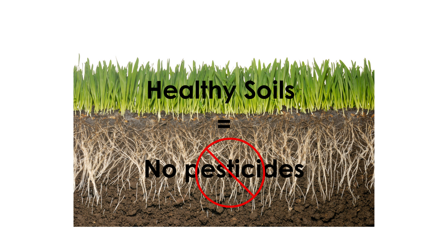 Australian Made Aprons, Chef & FOH Uniforms – Cream Collection