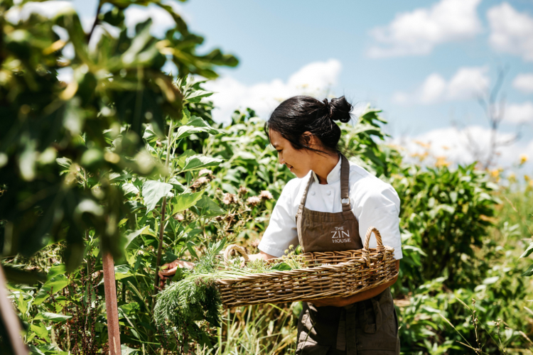 Australian Made Aprons and Chef Uniforms – Cream Collection